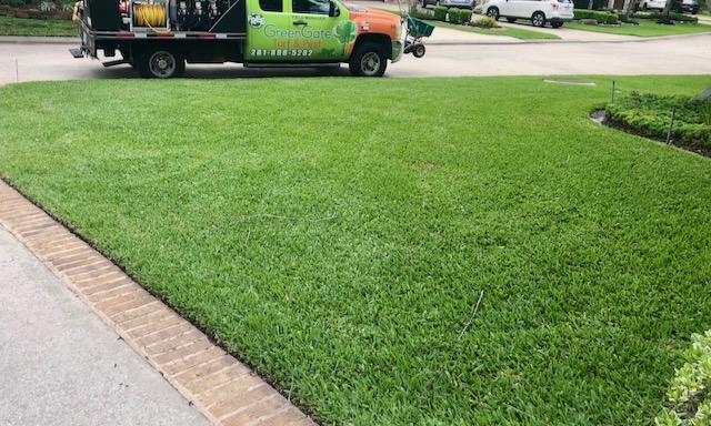 GreenGate Turf & Pest - Bellaire Sod Webworm Treatment